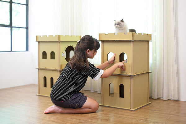 Petique London Bridge House Cat House – Care About My Pet